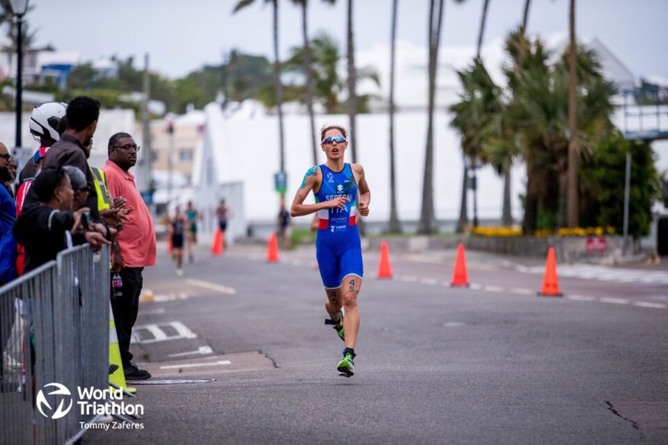 Seregni e Sarzilla da applausi alla WTCS Bermuda - DDS-7MP